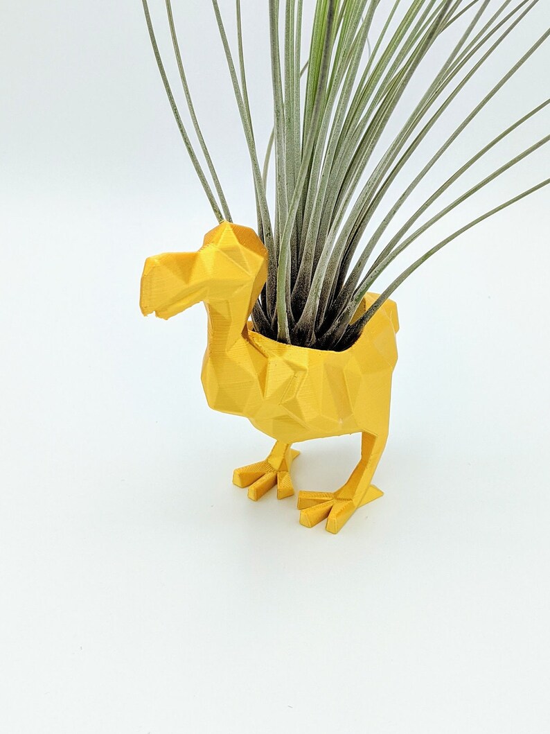 Dodo Bird Planter, Air Plant Holder, Indoor Planter, Succulent Decor ...