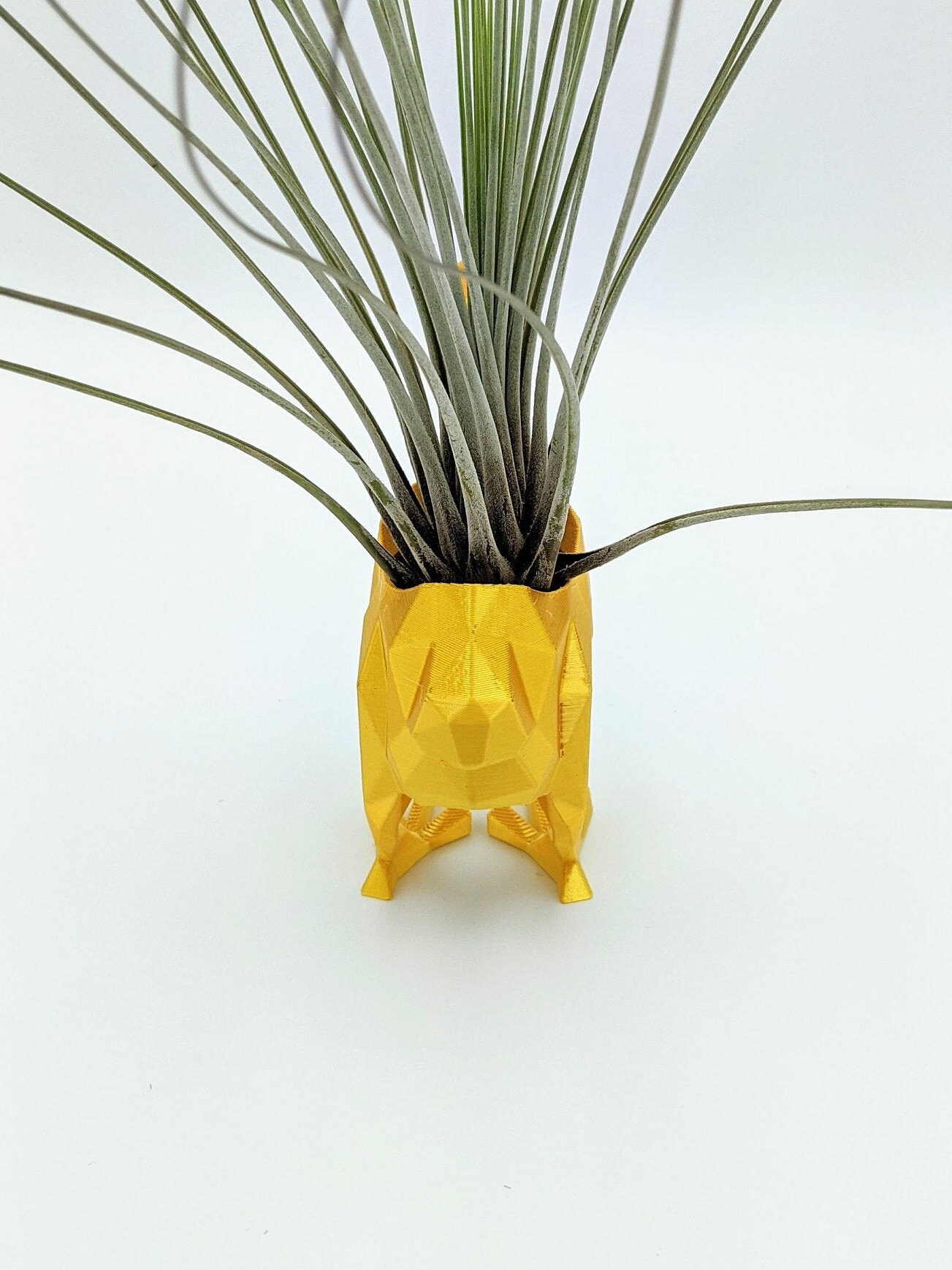 Dodo Bird Planter, Air Plant Holder, Indoor Planter, Succulent Decor ...