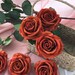 10pcs Rust Orange Flowers Head, Rust Wedding Flowers, Artificial Rose ...