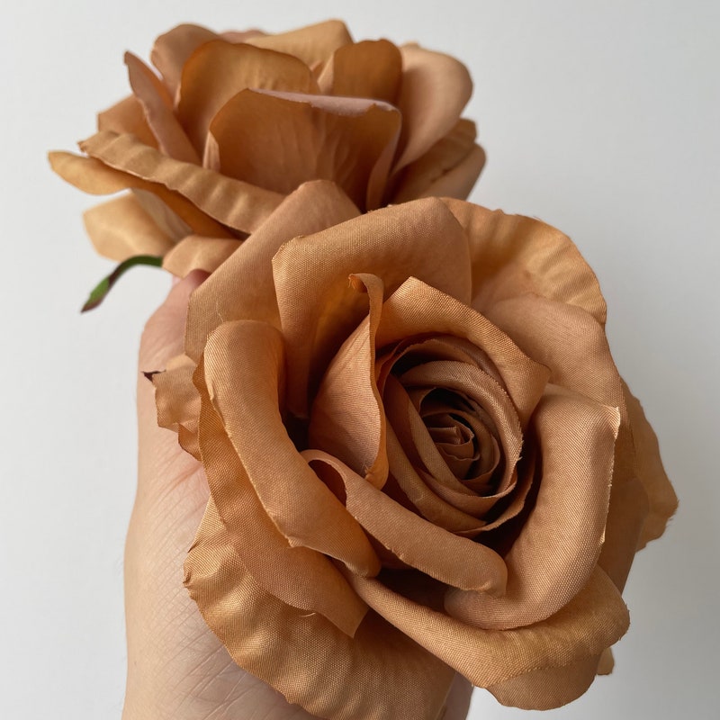 Toffee Rose - Etsy