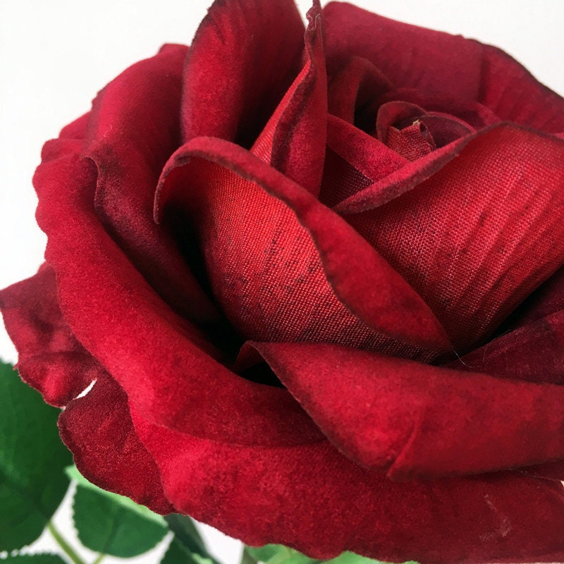10 Big Flower Heads Large Velvet Roses Dark Red Roses for - Etsy