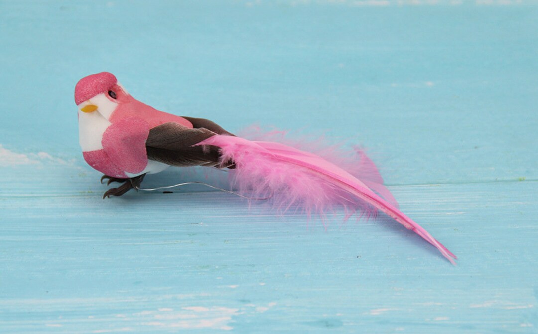 6pcs Artificial Pastel Craft Birds, Fake Birds With Clip on Foot, Birds ...