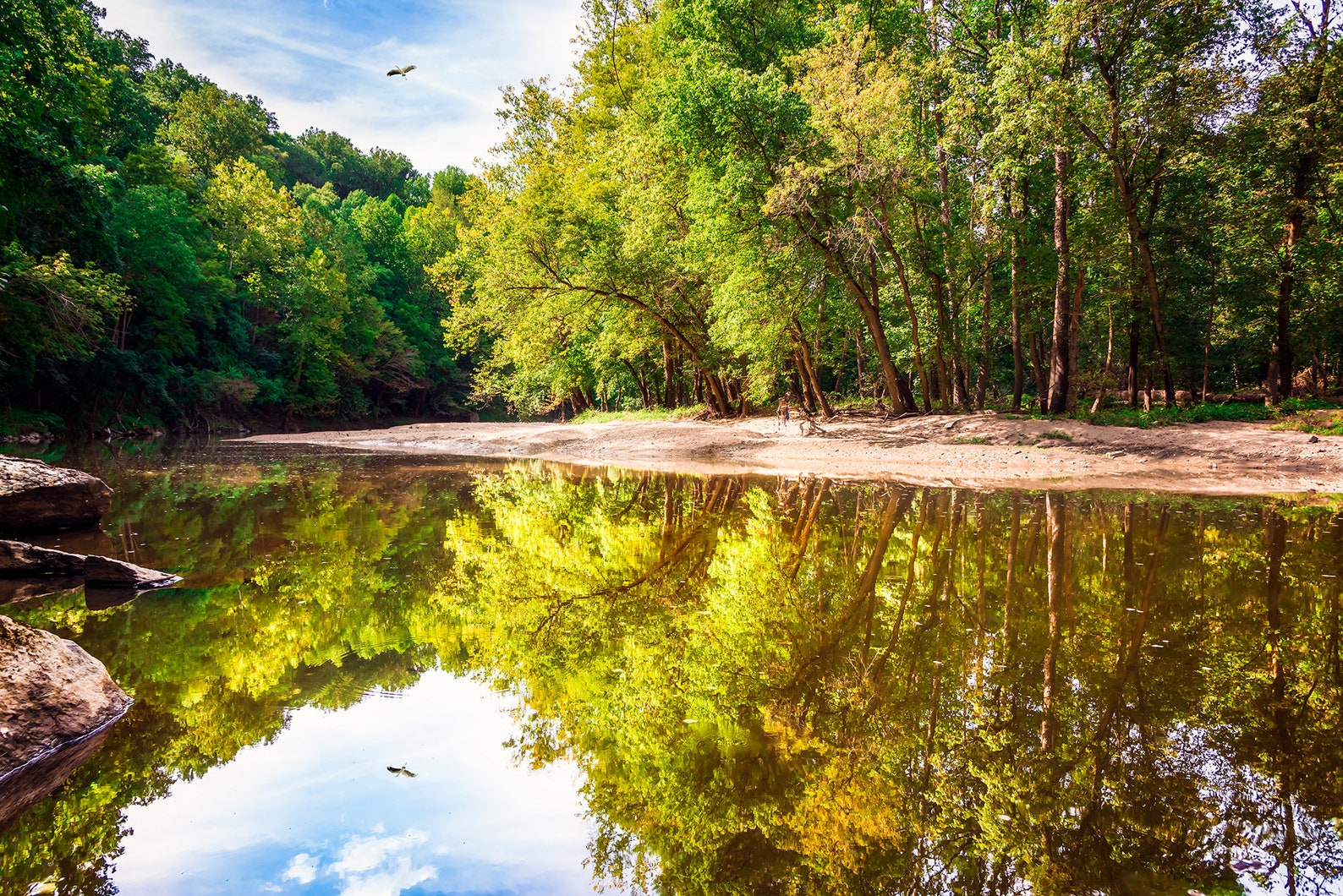 The Patapsco River Photography Print Wall Art Decor Patapsco - Etsy