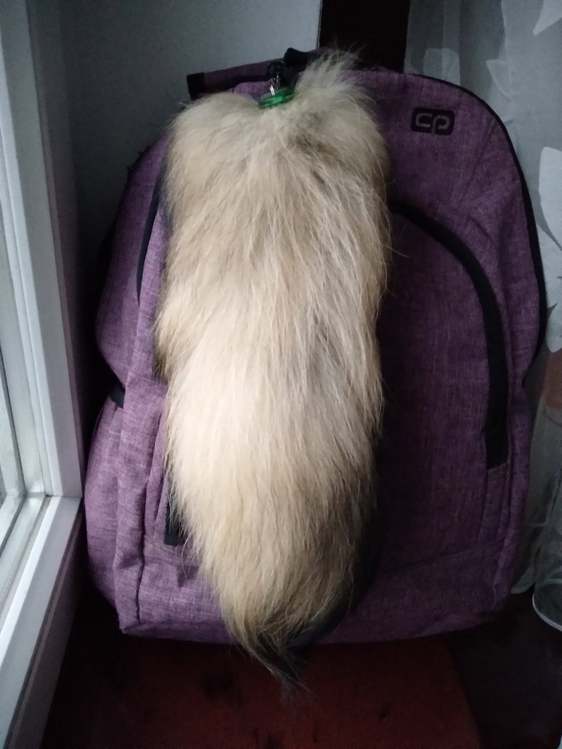 Real Raccoon Tail Raccoon Tail Keychain Keychain of Raccoon - Etsy