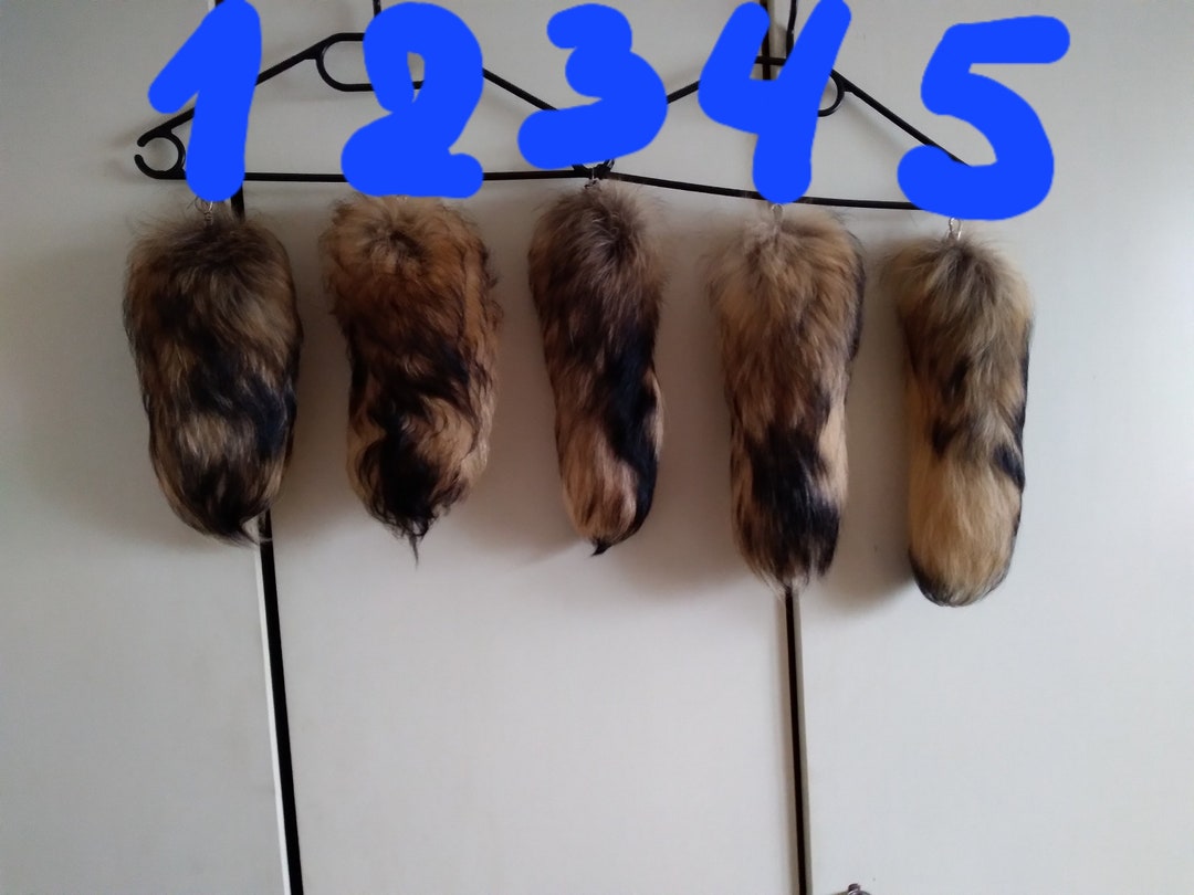 Real Raccoon Tails Keychains Raccoon Tails Natural Raccoon Keychains ...