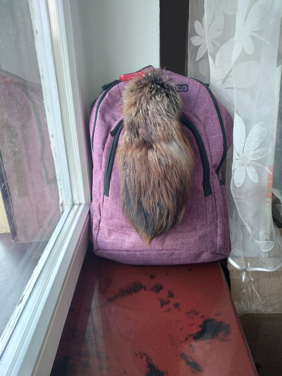 Brown Tail Fur Keychain Real Fox Tail Fox Keychain Eco Friendly Tail ...