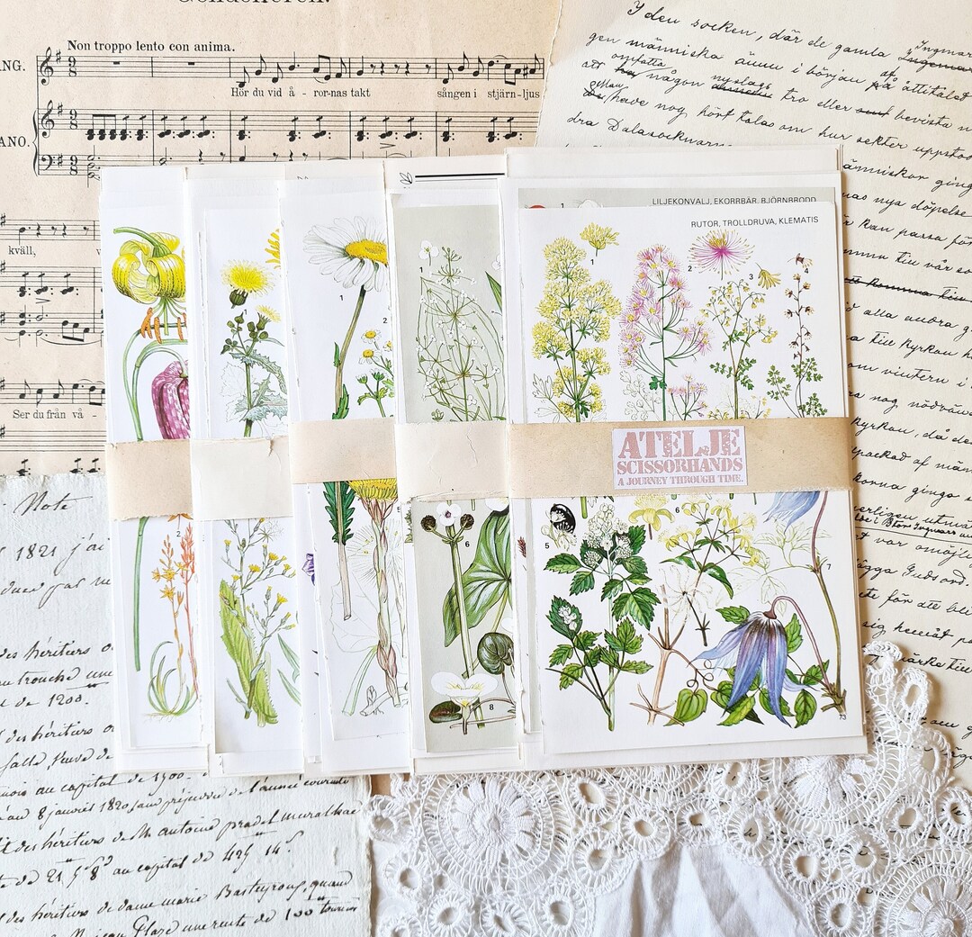 Botanical Book Pages, Bundle of 10, Nature, Woodland, Foraging ...