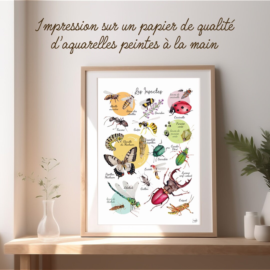 Watercolor Insect Poster Illustrations, Picture Book of Small Garden ...