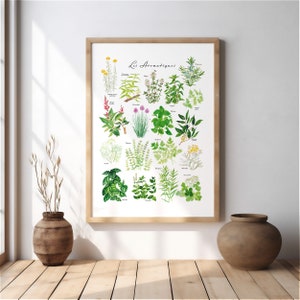 Poster Herbs and Aromatics Watercolor Painted Botanical Illustration ...