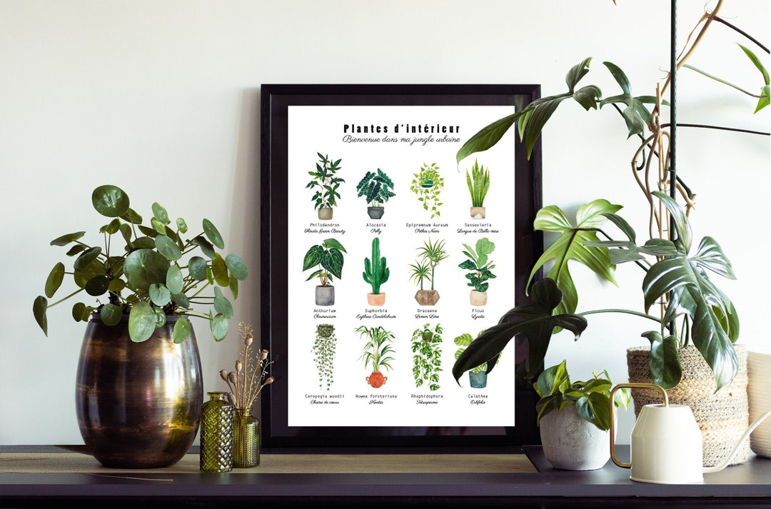 Poster Indoor Plant Botanical Illustration Watercolor Tropical Home ...