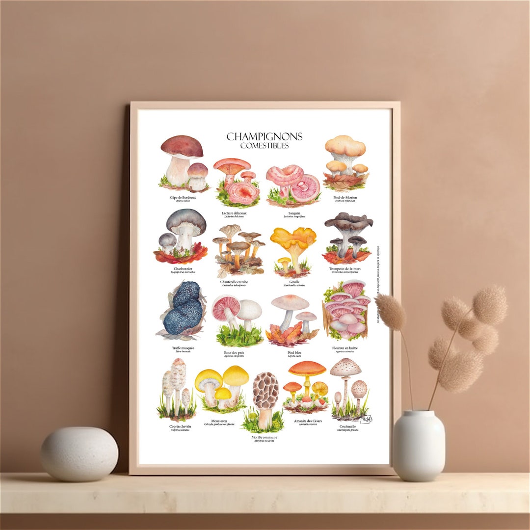 Poster Edible Mushrooms Watercolor Poster Mycology Botanical Chart ...