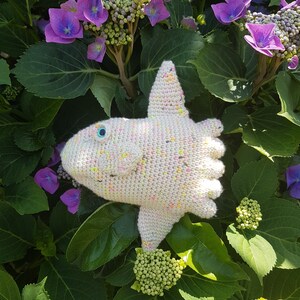 Sunfish pdf Download - Etsy