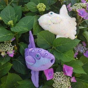 Sunfish pdf Download - Etsy