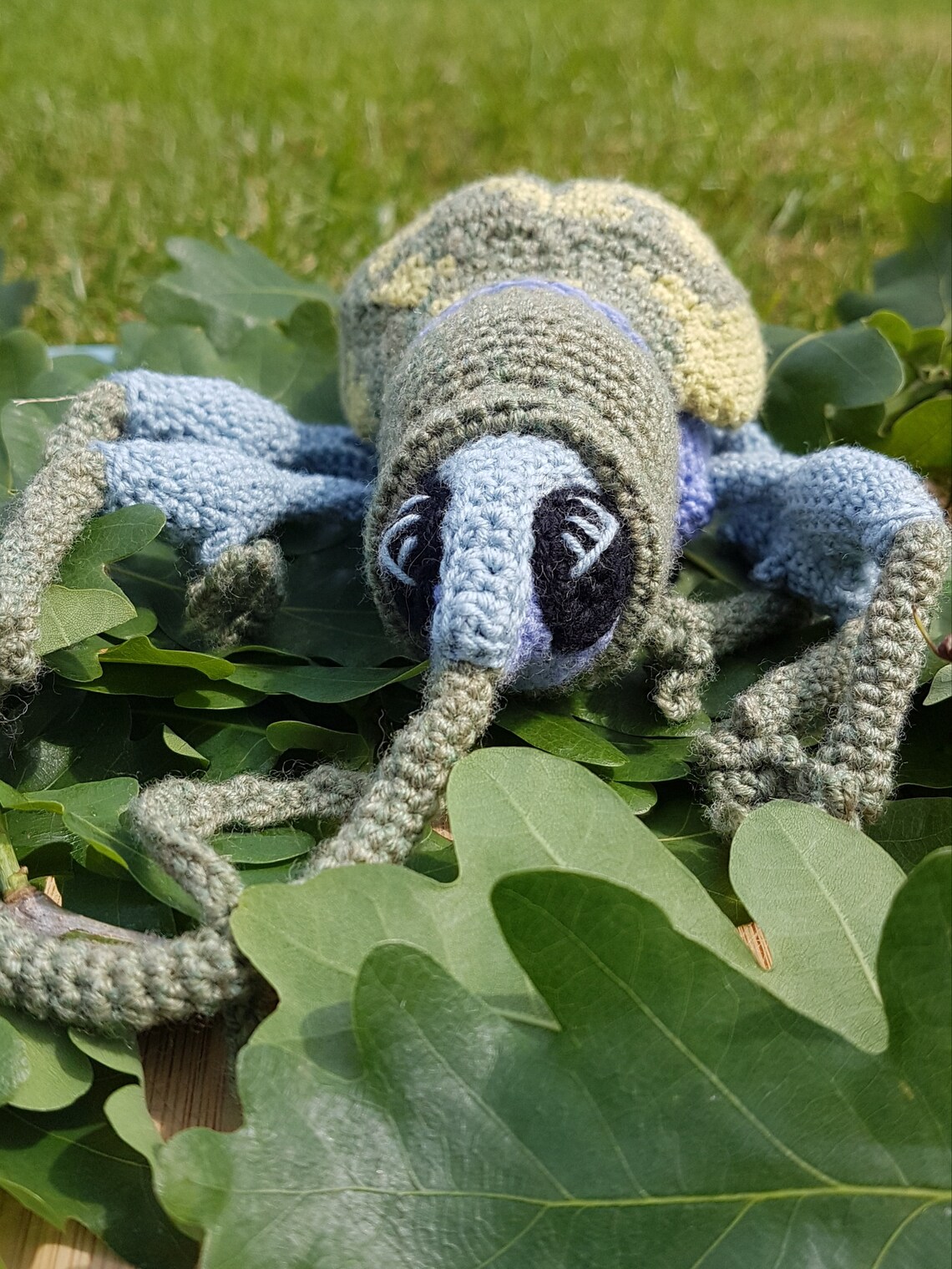 Acorn Weevil pdf Download - Etsy