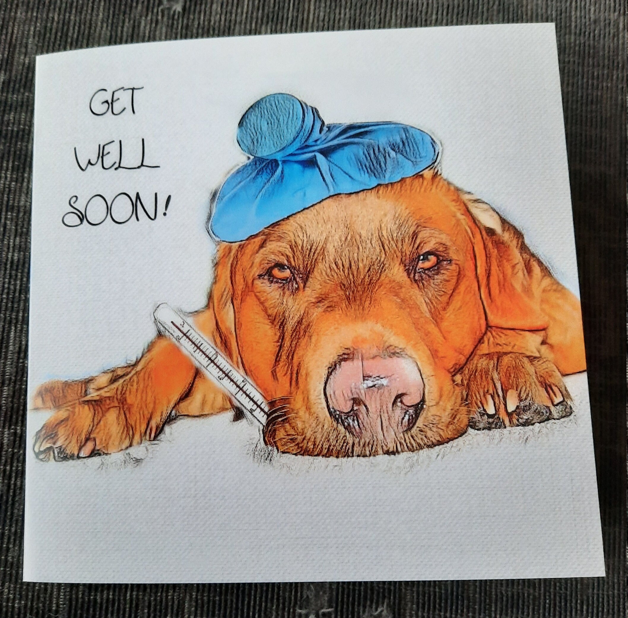 Get Well Soon Card Fox Red Labrador - Etsy