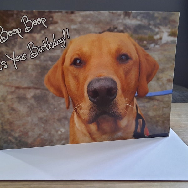 Labrador Teddy - Etsy UK