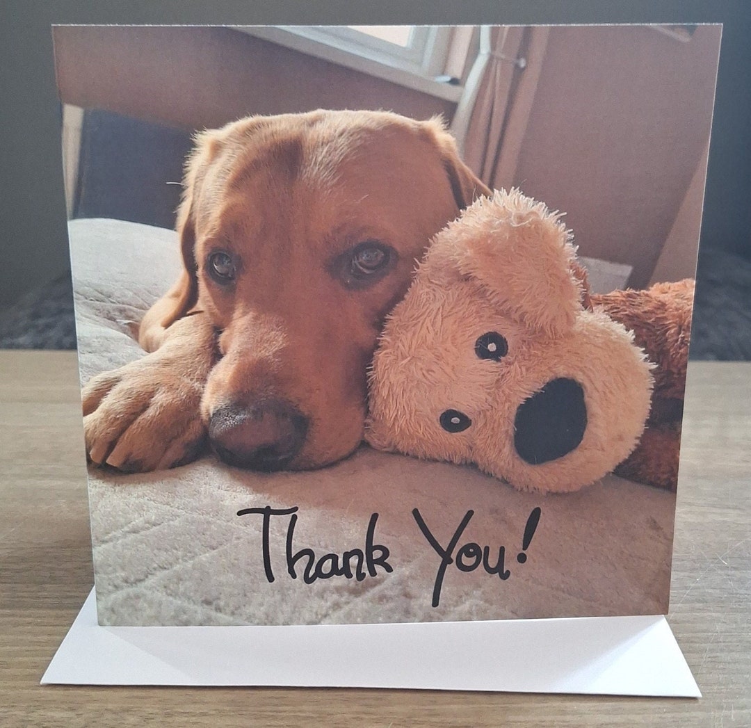 Fox Red Labrador Thank You Card - Etsy
