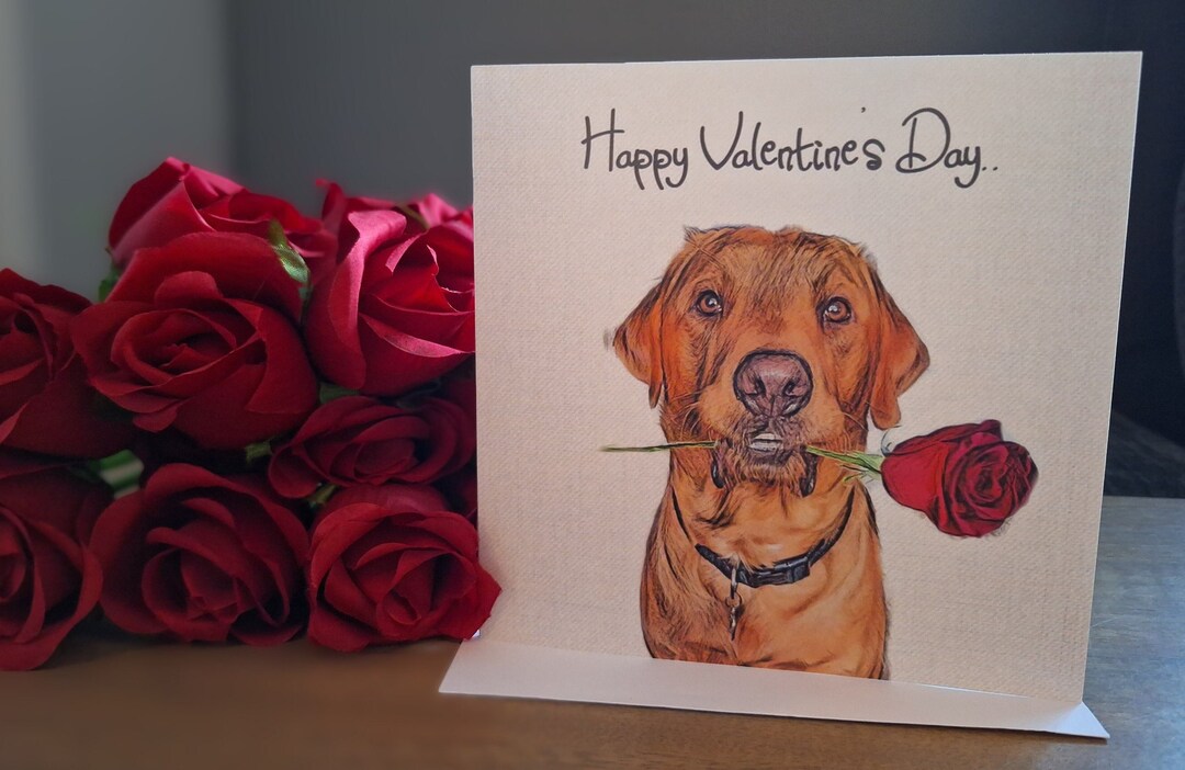 Fox Red Labrador Valentines Day Greeting Card - Etsy UK