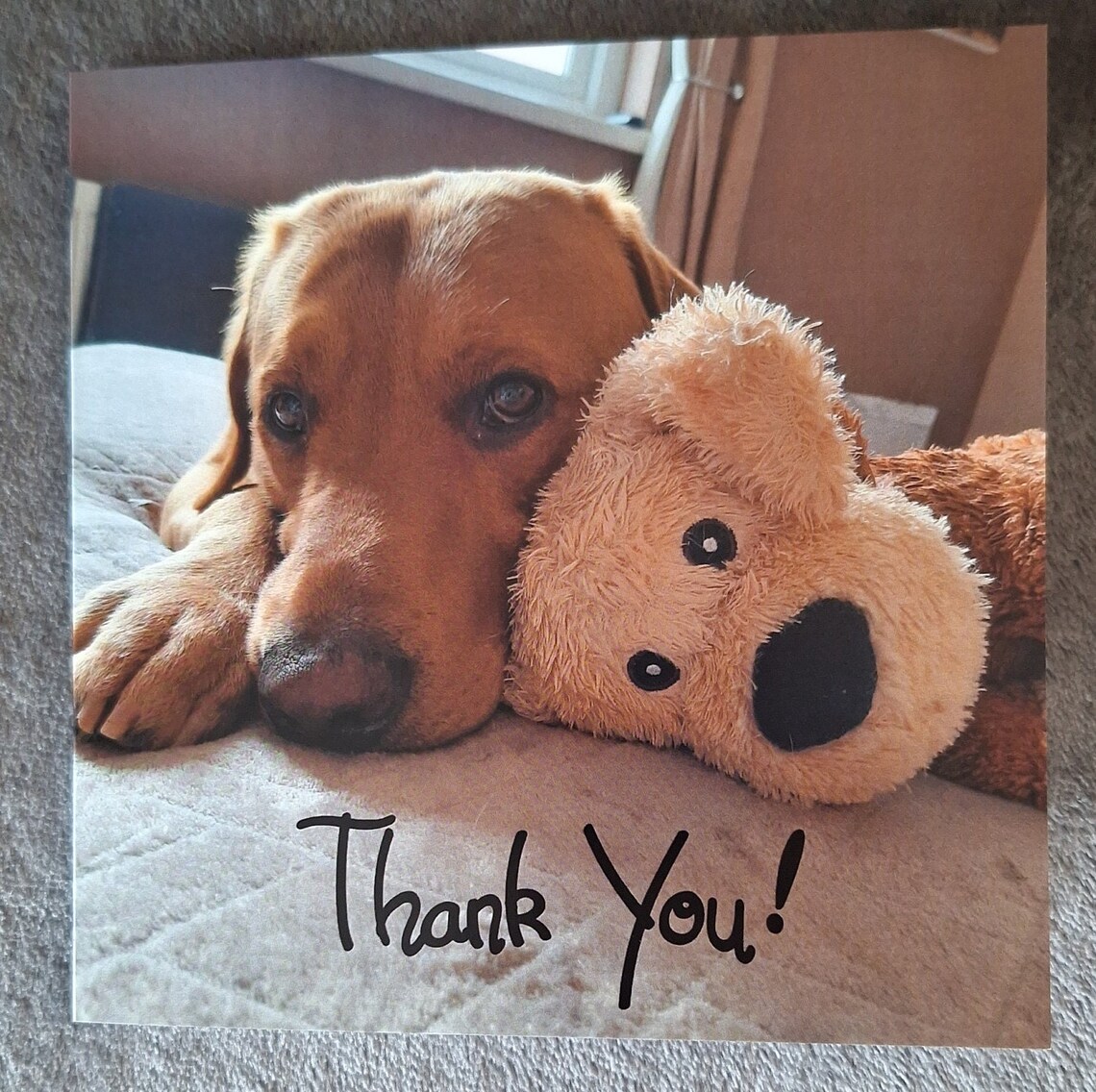 Fox Red Labrador Thank You Card - Etsy