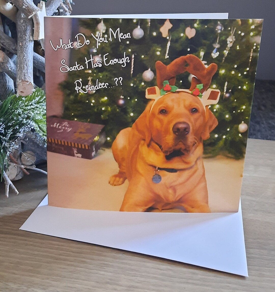 Fox Red Labrador Christmas Card - Etsy