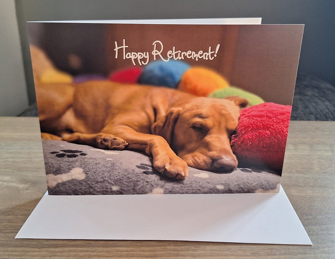 Fox Red Labrador Retirement Card - Etsy