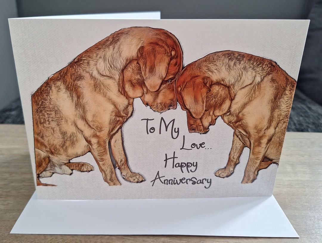 Fox Red Labrador Anniversary Card - Etsy
