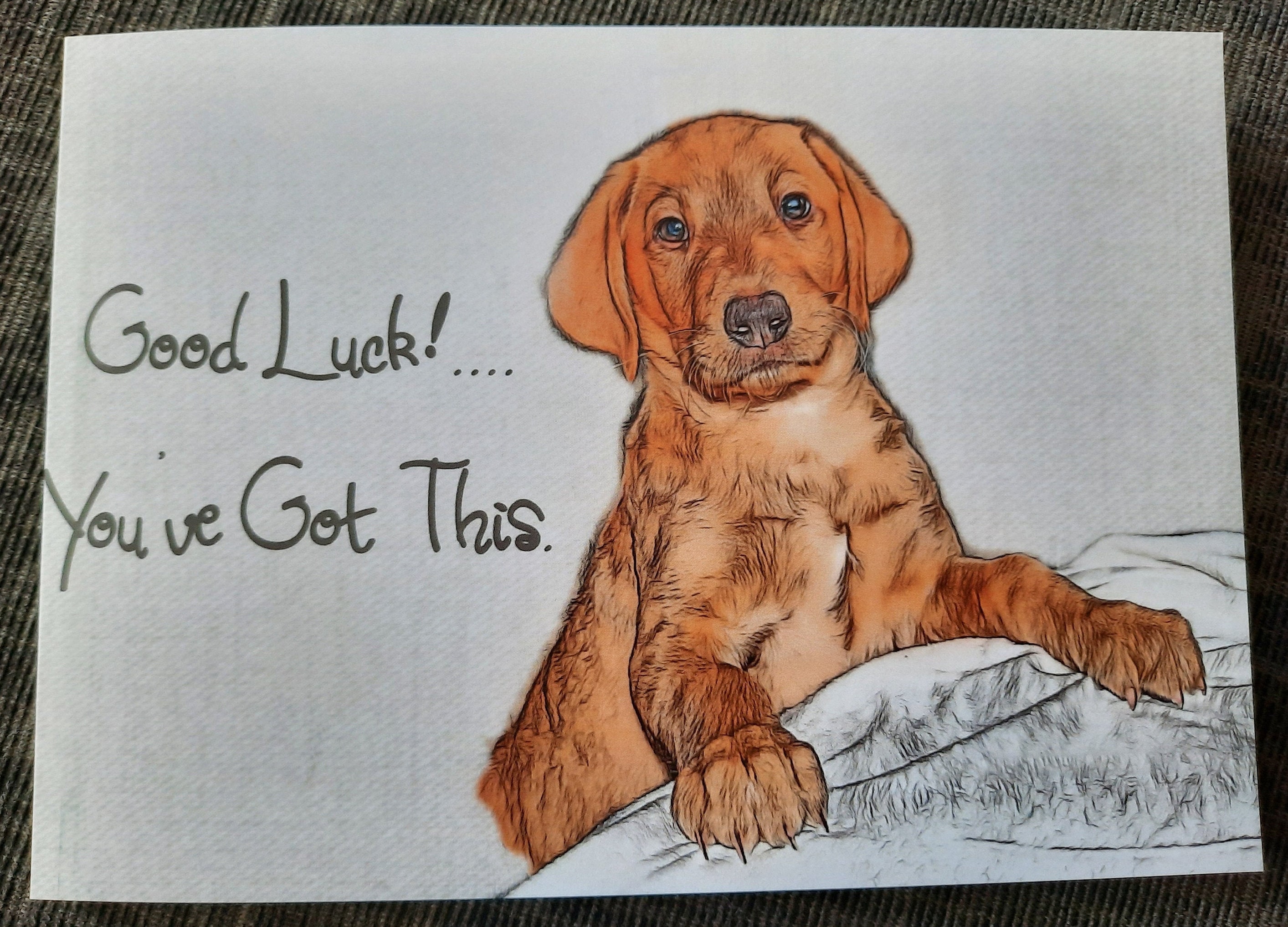 Fox Red Labrador Good Luck Card - Etsy