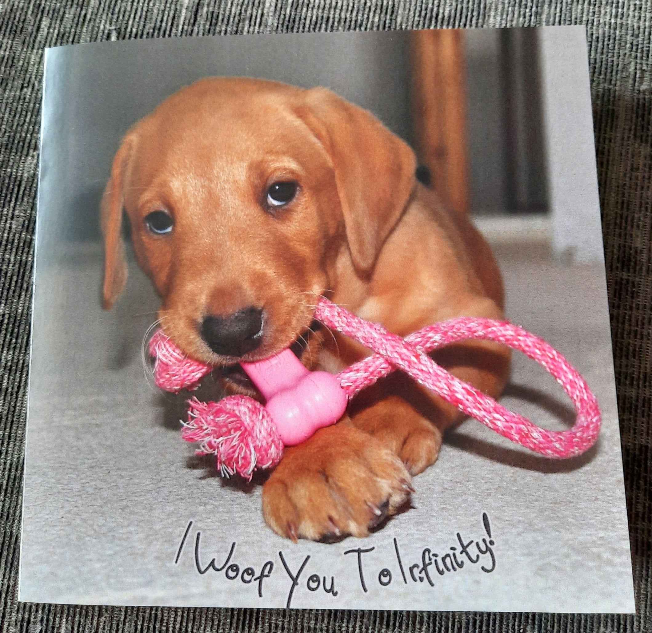 Fox Red Labrador Anniversary Card - Valentine Card - New Puppy Card - Etsy