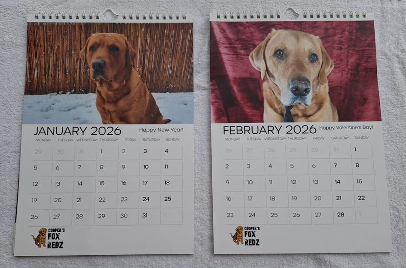 Fox Red Labrador 2026 A4 Wall Calendar - Etsy Canada