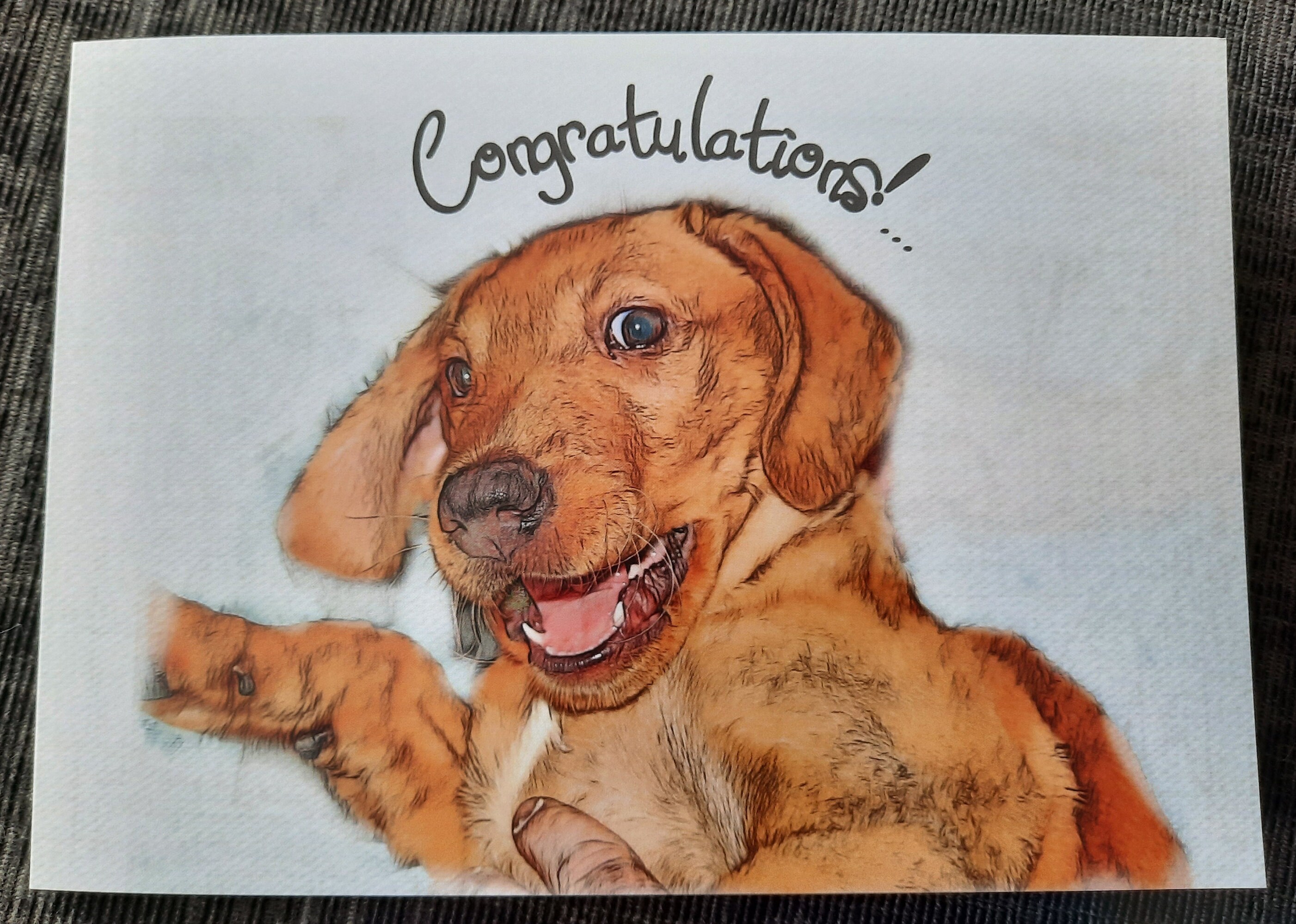 Fox Red Labrador Congratulations Card - Etsy