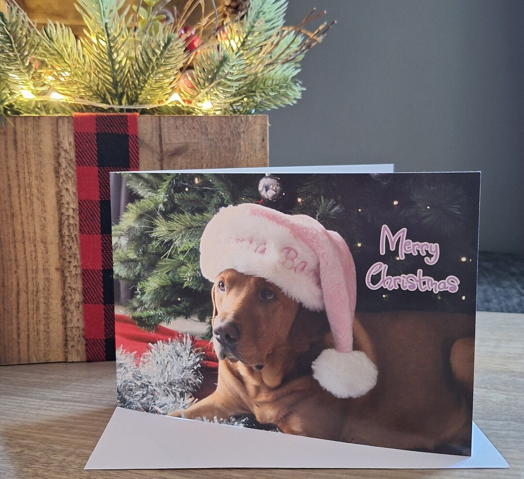 Fox Red Labrador Christmas Card - Etsy