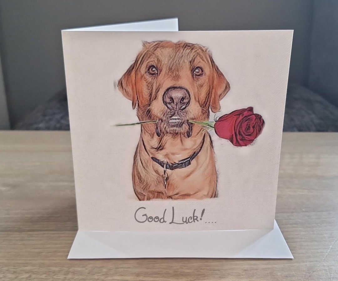 Fox Red Labrador Good Luck Greeting Card - Etsy