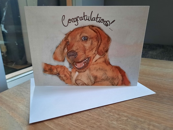Fox Red Labrador Congratulations Card | Etsy