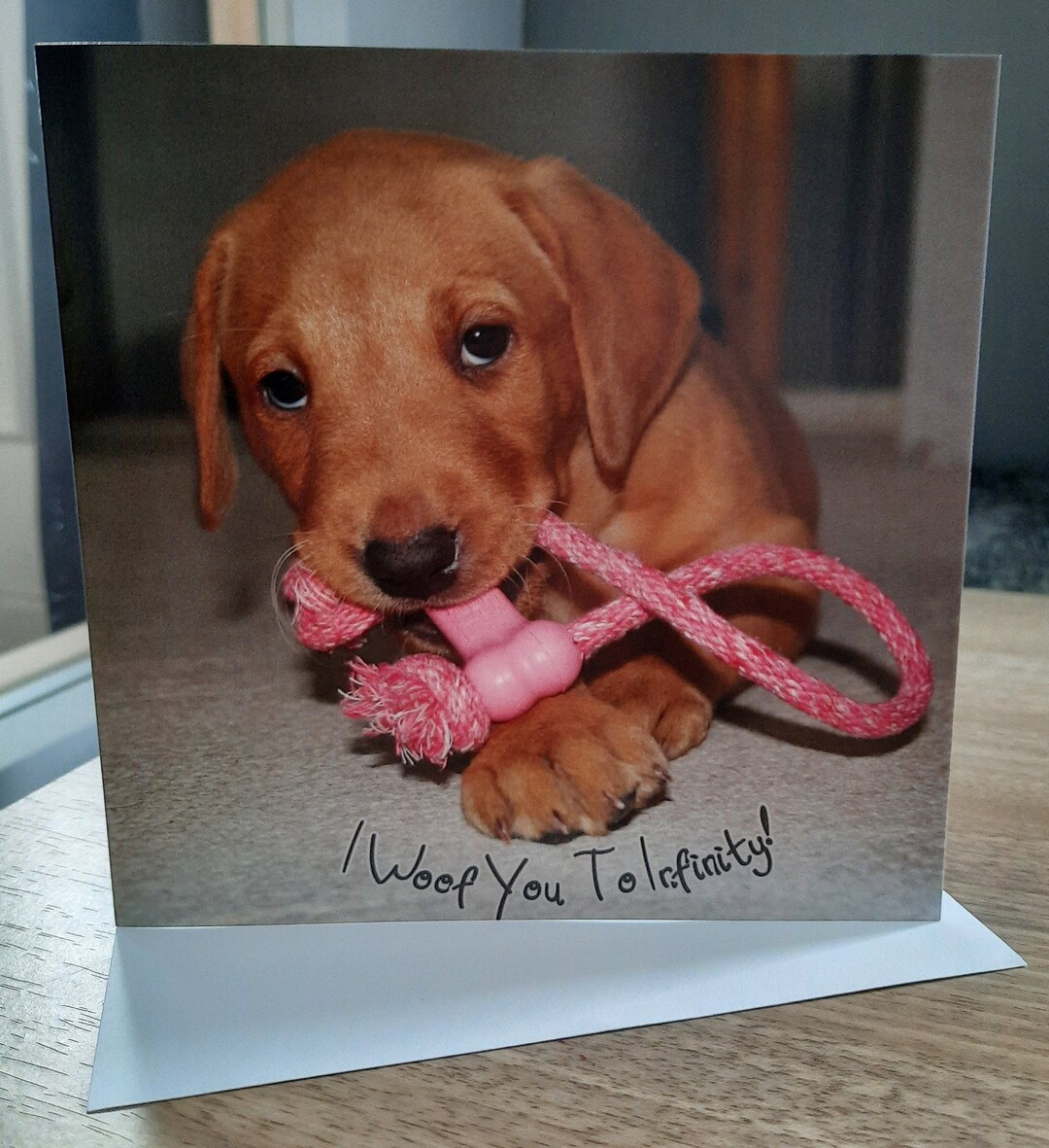 Fox Red Labrador Anniversary Card - Valentine Card - New Puppy Card - Etsy