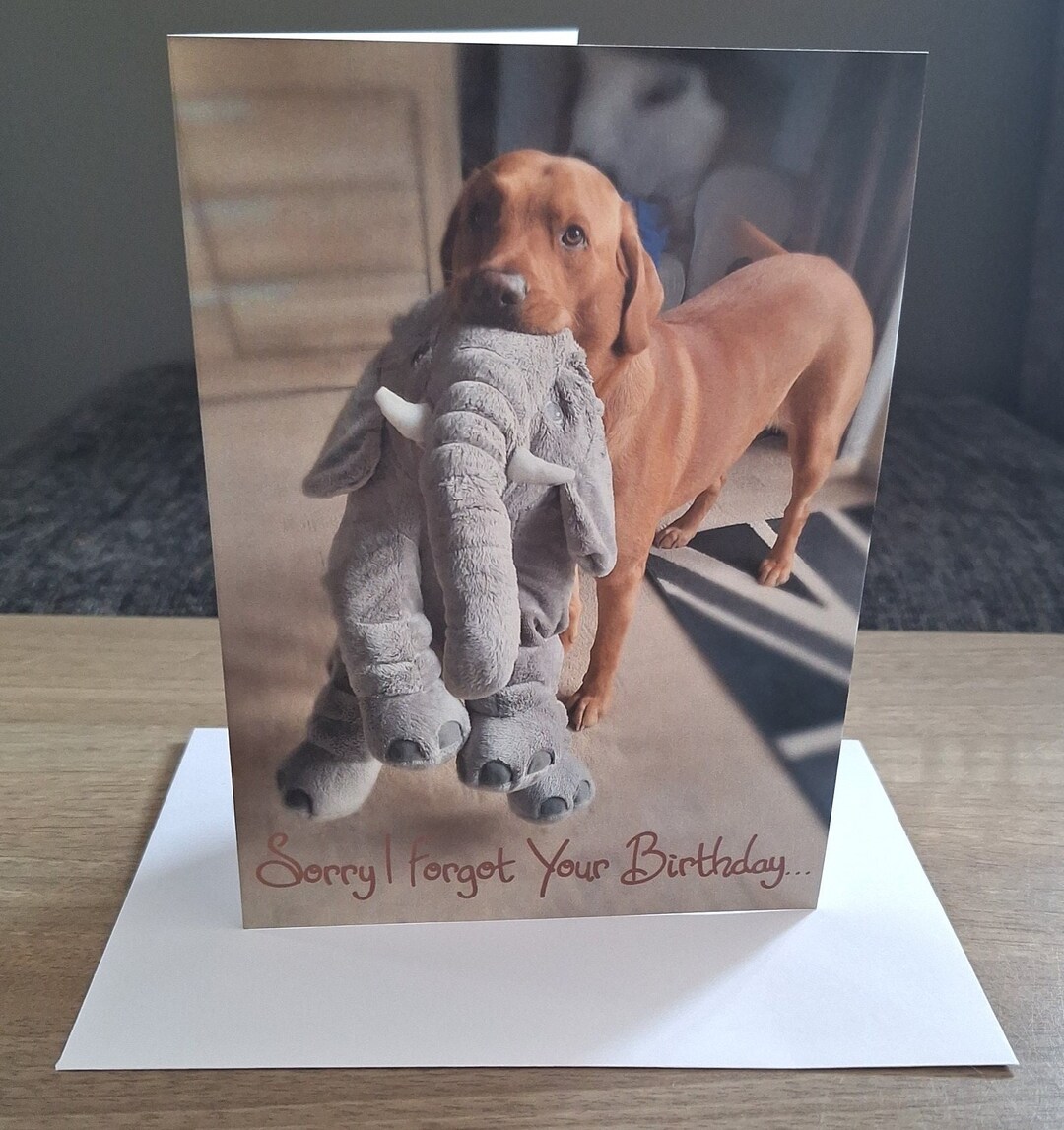 Fox Red Labrador Belated/sorry I Forgot Your Birthday Card - Etsy
