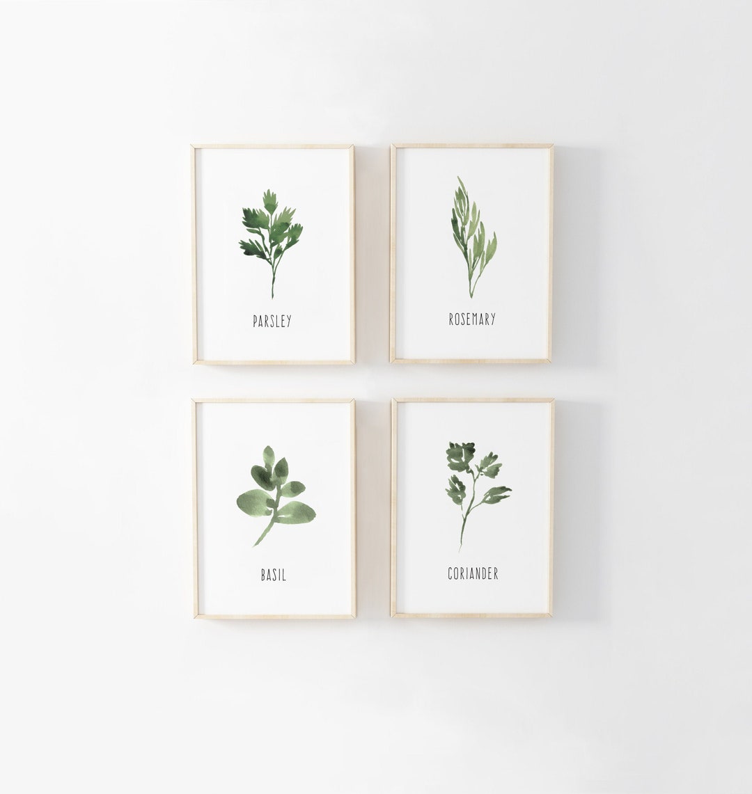 Kitchen Herb Prints, Set of 3, Watercolour Herbs, Home Prints, Greenery ...