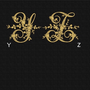 Edwardian Embroidery Letters. Complete Alphabet. Historical Machine ...