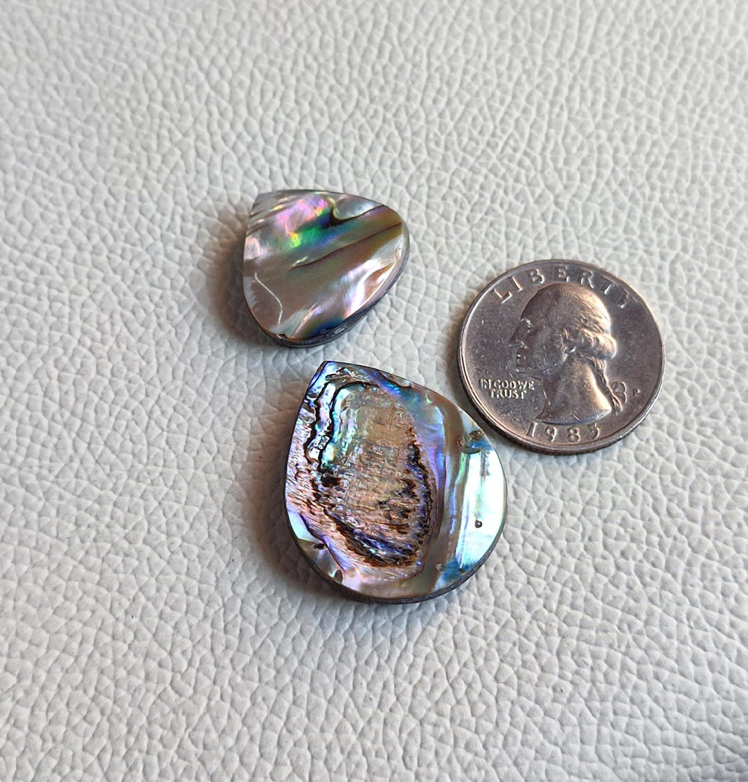 Colorful ABALONE SHELL, Paua Abalone Shell, Heart Shape Abalone Shell ...