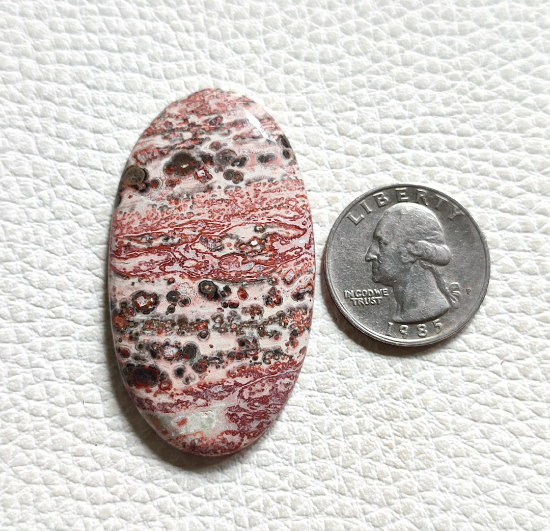 70cts Natural Leopard Skin Jasper Cabochon Big Leopard Skin Jasper ...