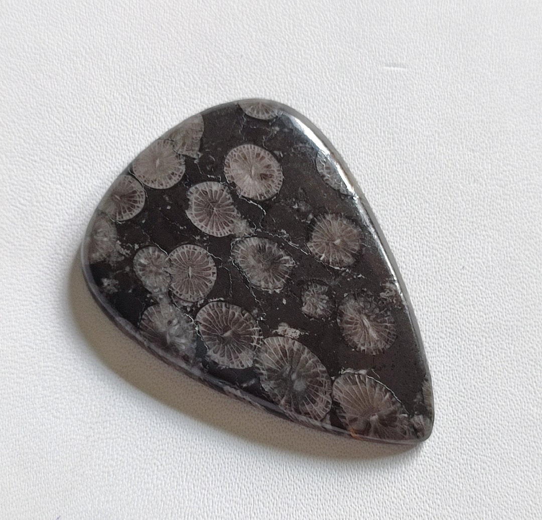 Top Qualität Birne Big 56Cts Schwarze Fossil Koralle Cabochon Natur ...