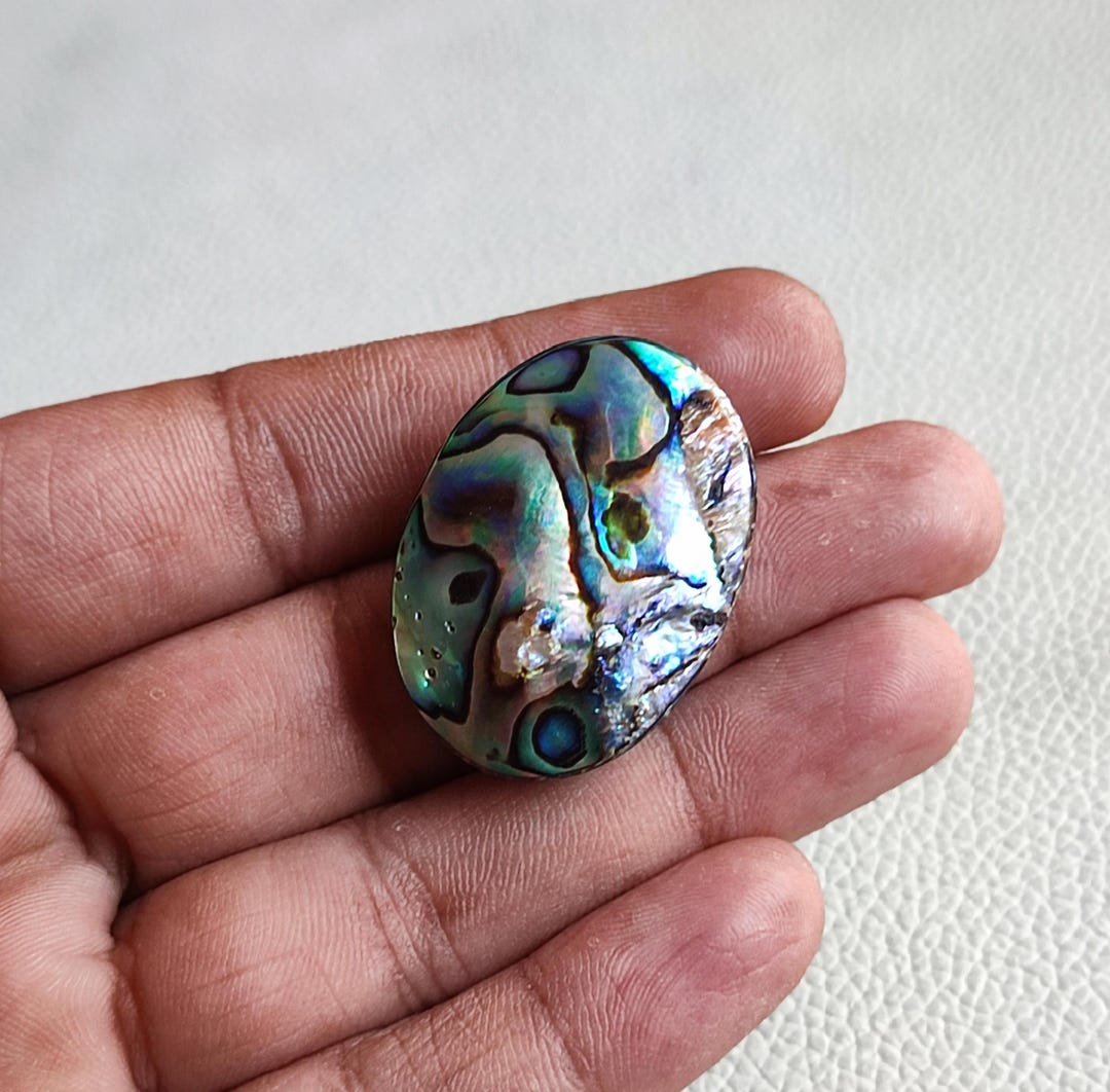 Top Abalone Shell Cabochon Gemstone for Making Jewelry, Beach House ...