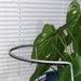 Plant Stands, Half Hoops, Garden Supports 8inx4inx20inches - Etsy