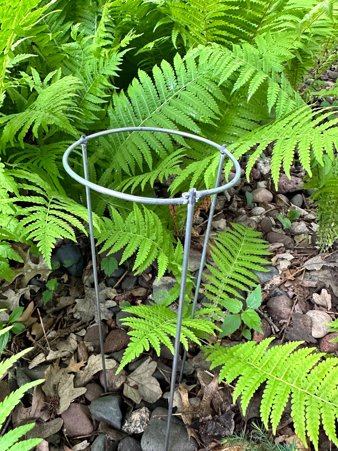 Ejglamos Wire Plant Support: Garden Wire Cage (4.5inx12inx3leg) - Etsy