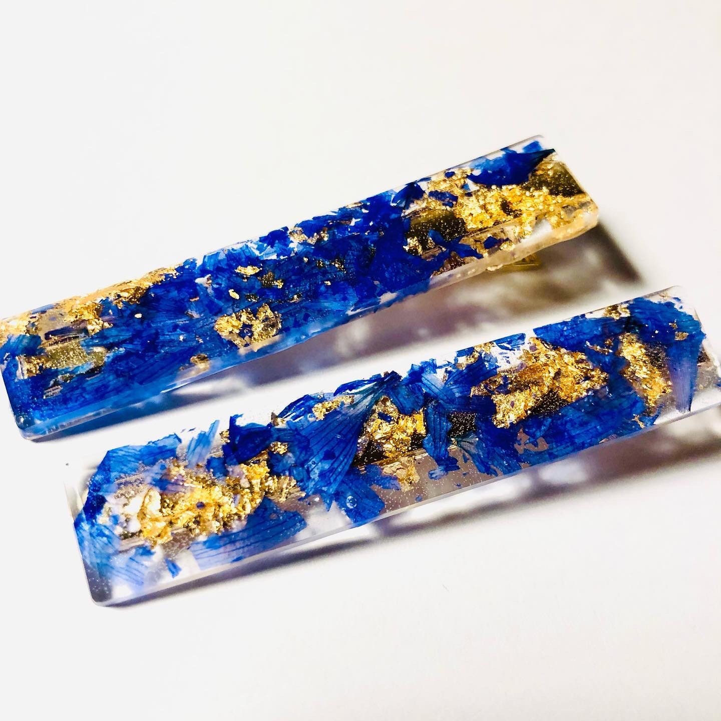 A Set Of Two handmade resin hairclips with real handpicked | Etsy