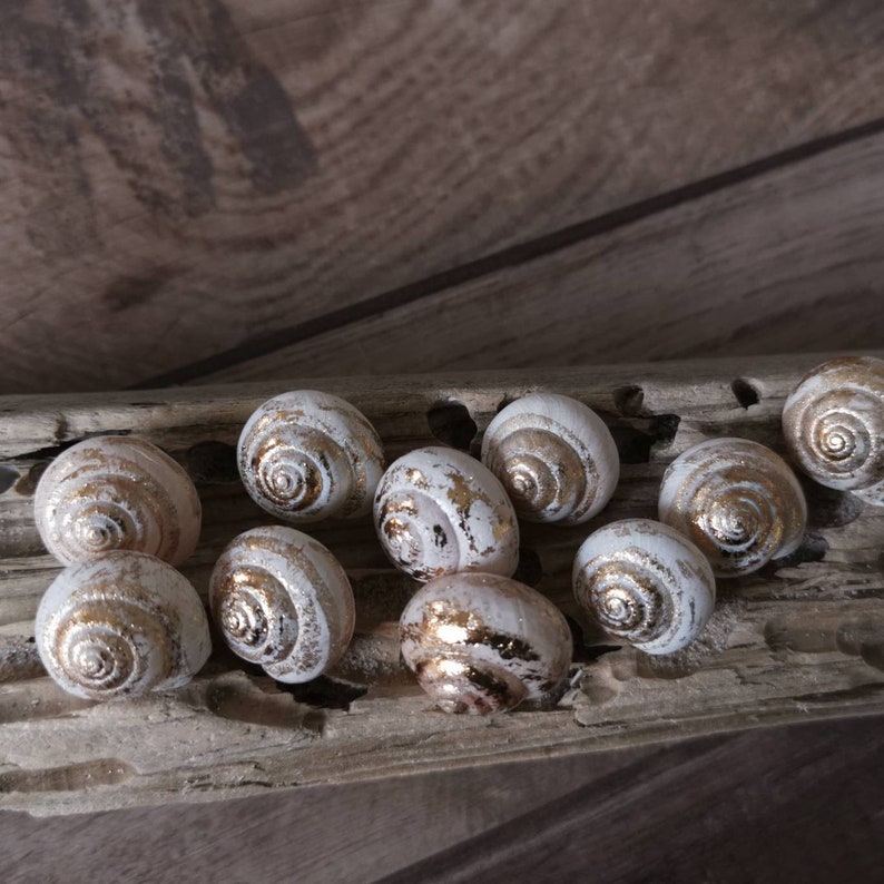10 Snail Shells Empty Painted Gold DECORATION FLORISTRY Snail Crafts - Etsy