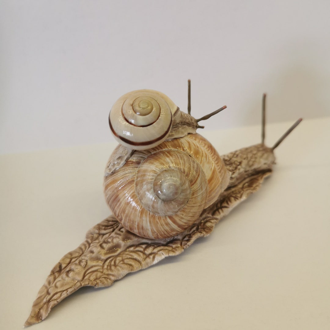 Snail, Handmade, Decoration, Snail - Etsy