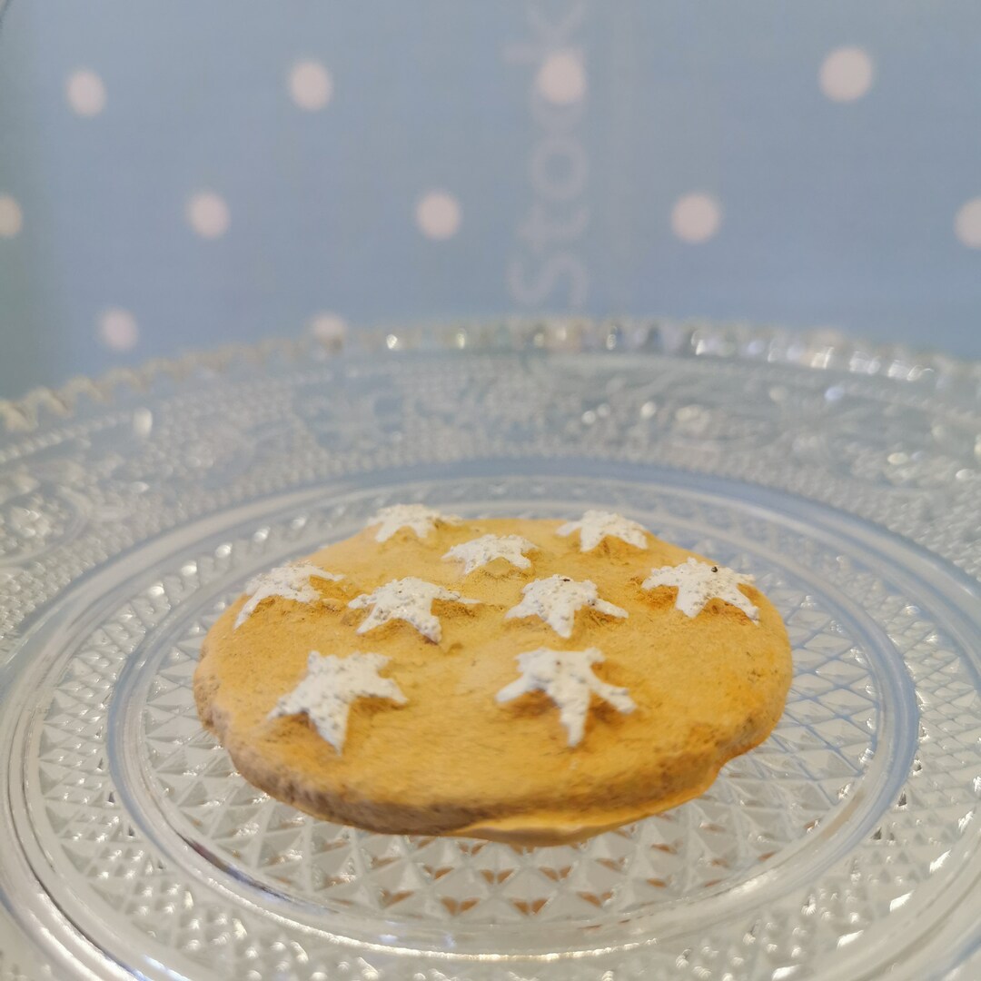 Fake Biscuit, Fake Cakes, Decoration Biscuit - Etsy