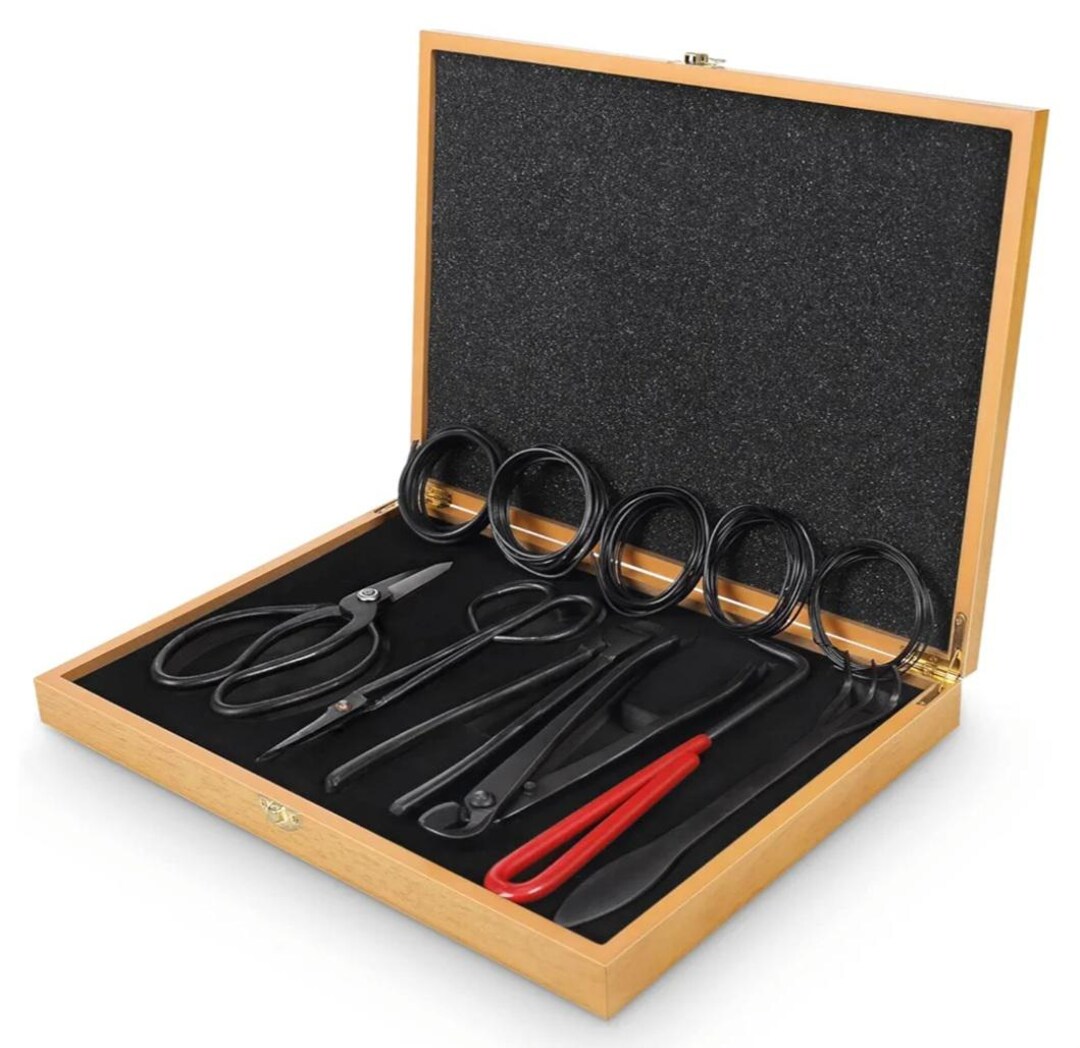Bonsai Tool Kit in Wood Box - Etsy