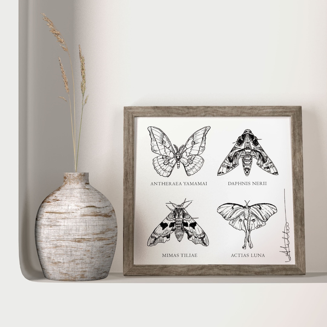 Moths Art Print - Digital Download - Etsy