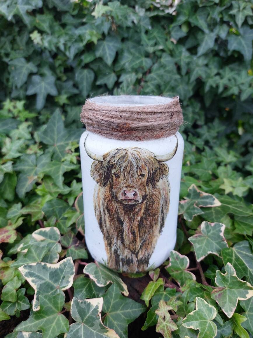 Highland Cow Jars - Etsy